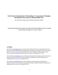 Food System Transformation in Mozambique: An Assessment of Changing ...