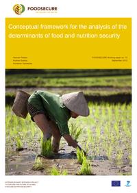Conceptual framework for the analysis of the determinants of food and ...