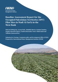 Baseline assessment report for the Occupied Palestinian Territories ...